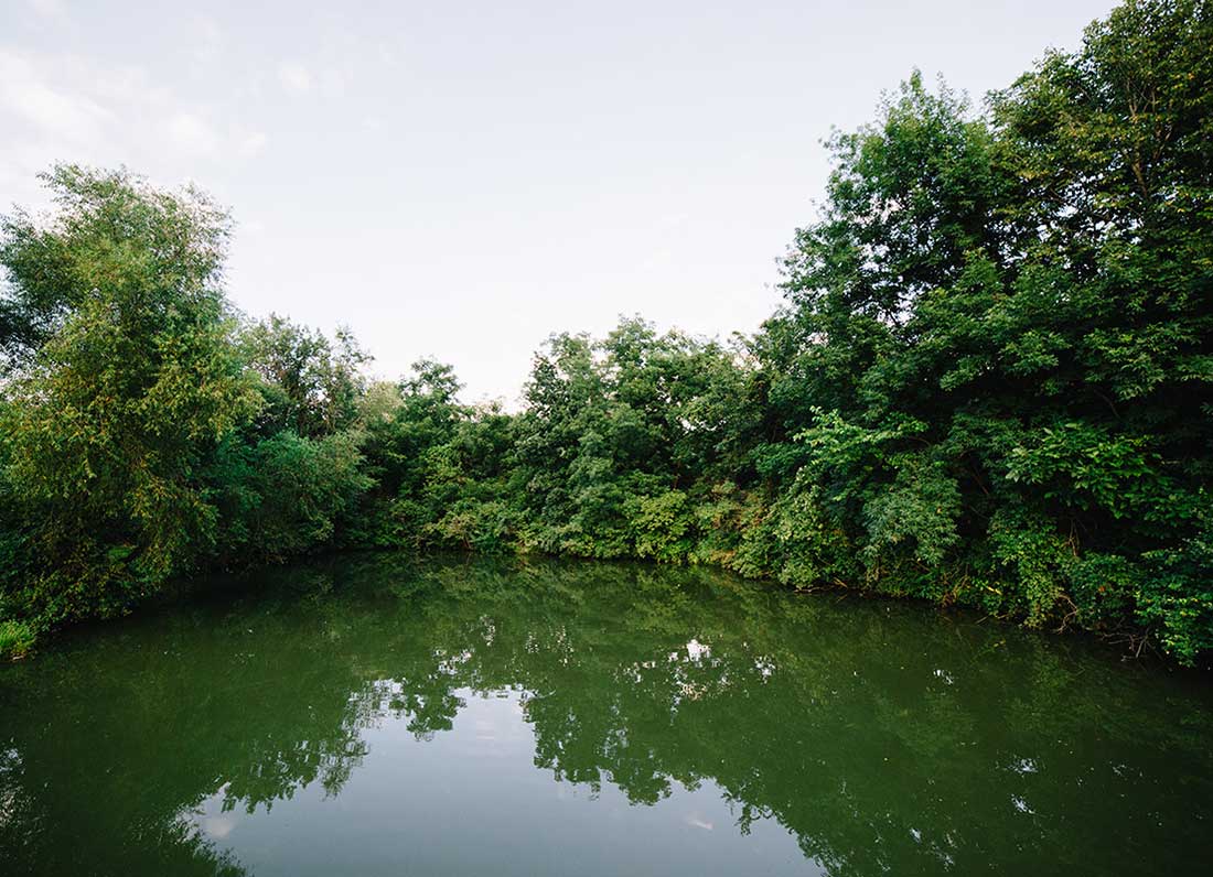 Photos: Take a day trip to F.W. Kent Park - Little Village