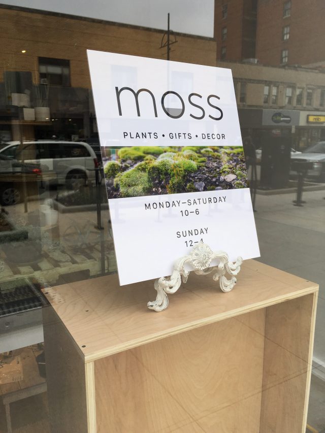 Moss urban garden boutique to open in downtown Iowa City - Little Village