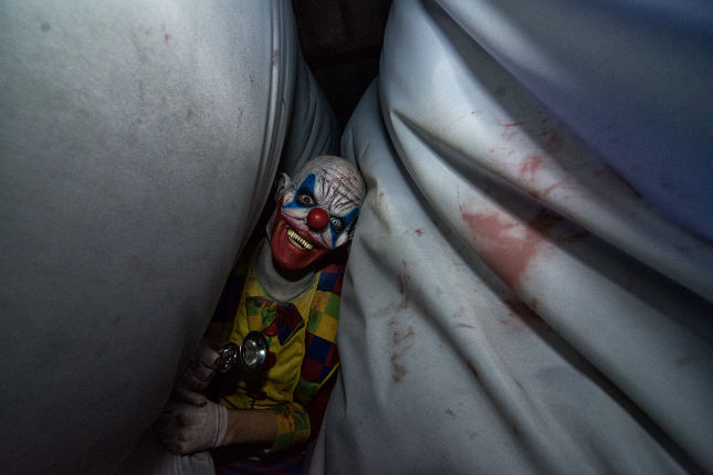 Photos: Frightful delights at Scream Acres - Little Village