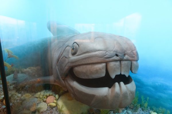 Fossil Gorge, uncovered 30 years ago, preserves a 375 million-year-old ...