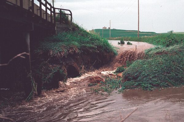 Iowa's dirty water is getting worse - Little Village