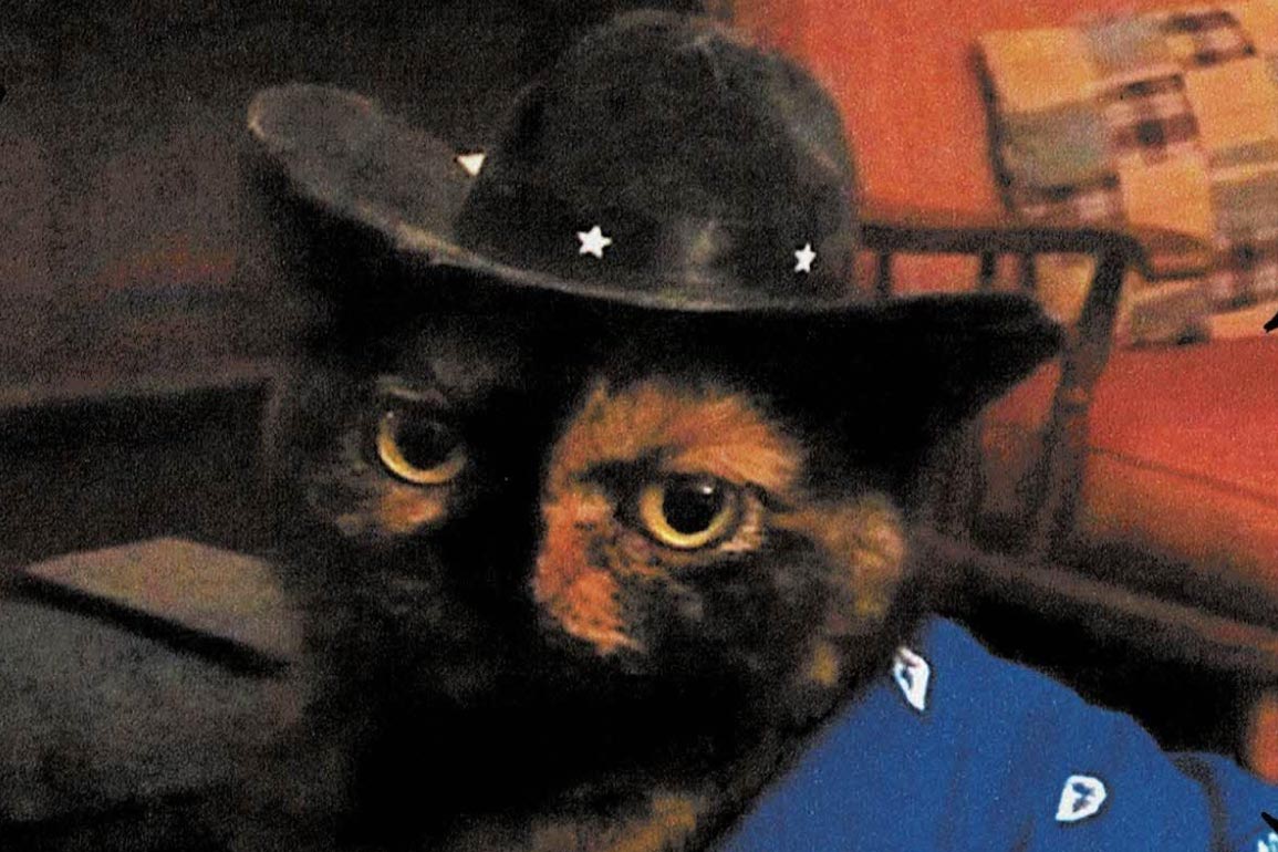 Five questions with Fashion is Murder zine creator Kane Edwards ...