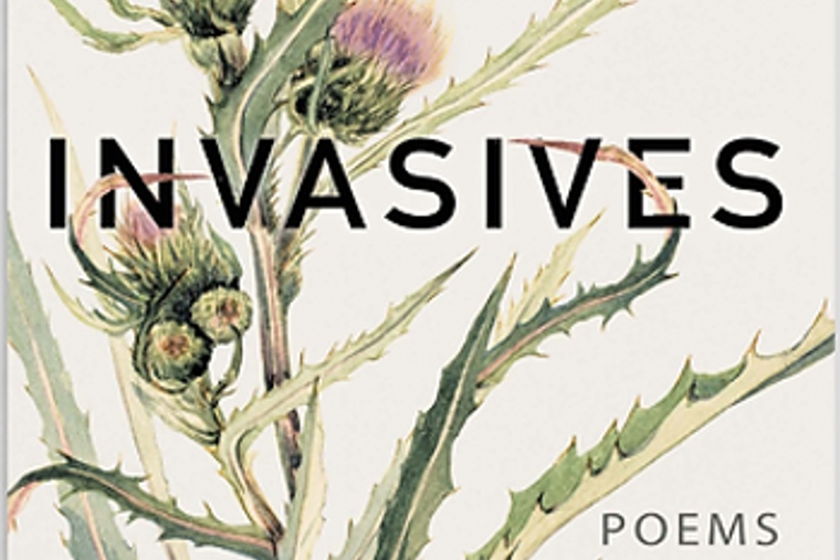 Book Review: 'Invasives' by Emily Kingery - Little Village