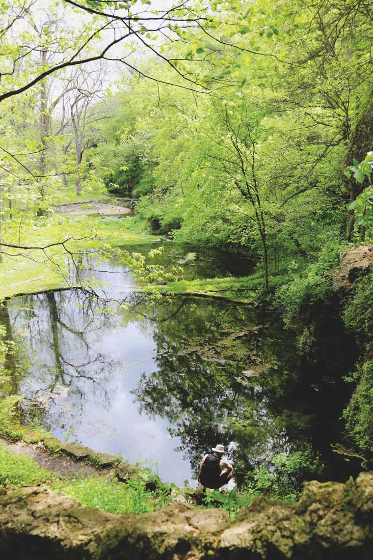 Iowa state parks preserve lush corners of a landscape 98% altered by ...