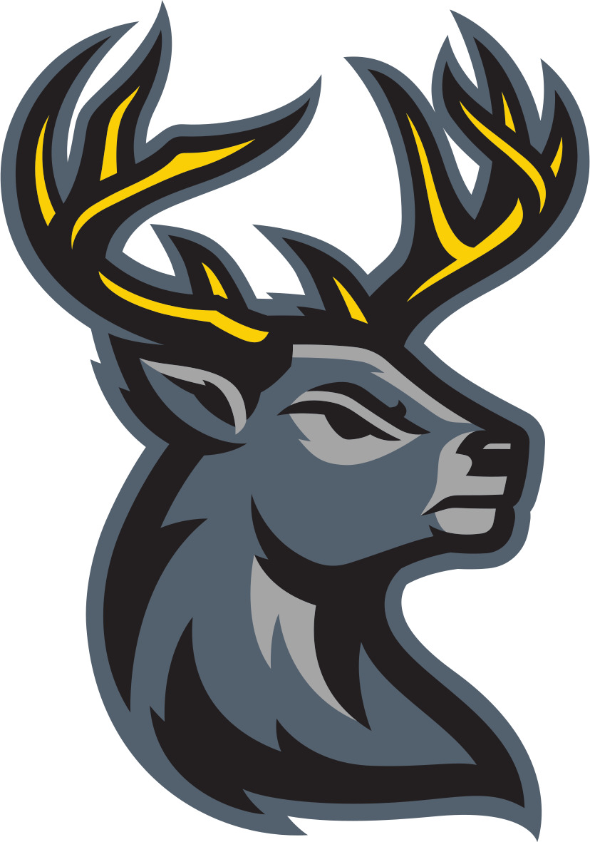 Iowa_Heartlanders_primary_logo - Little Village