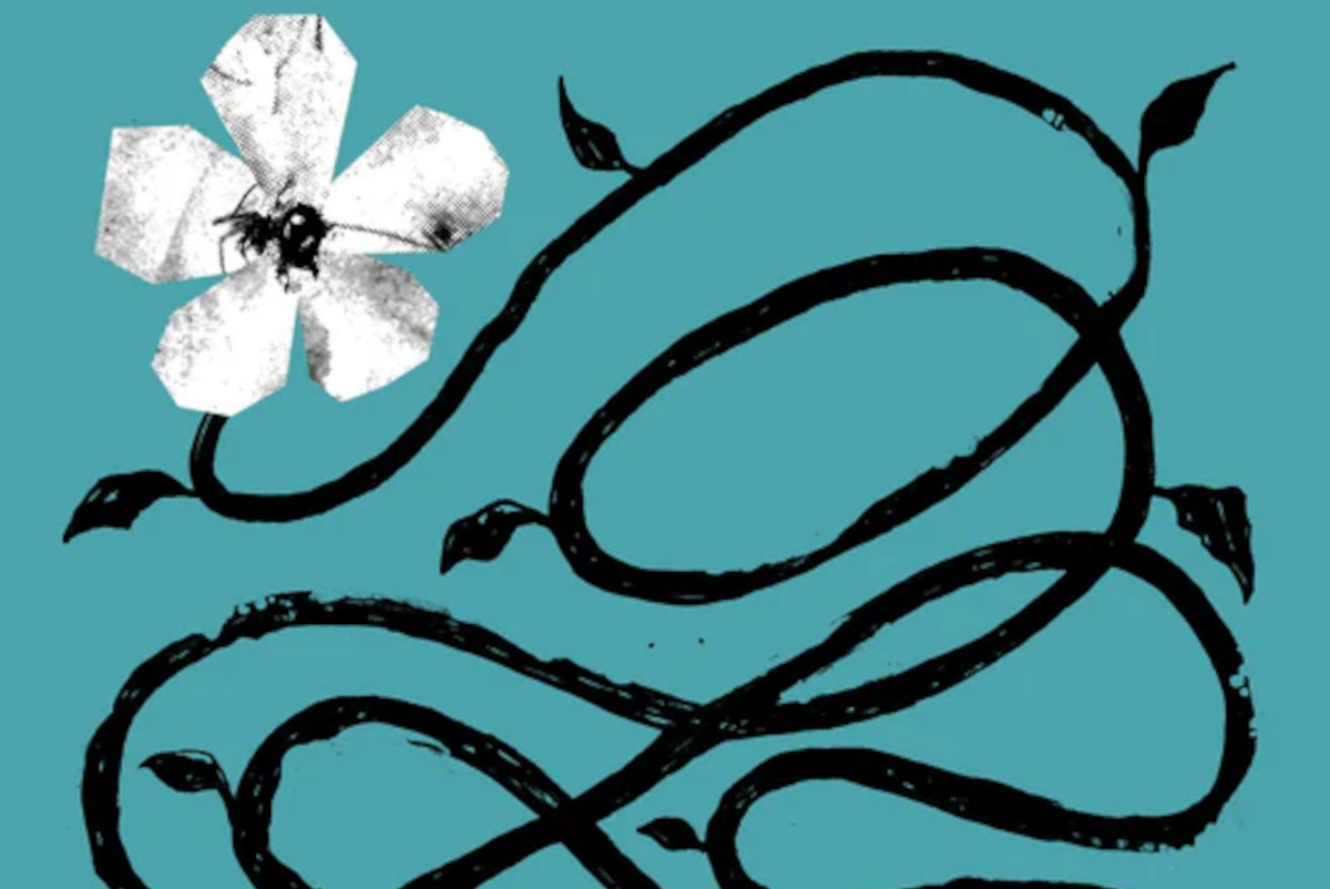 Book Review: 'Fidelity' by Susan Glaspell - Little Village